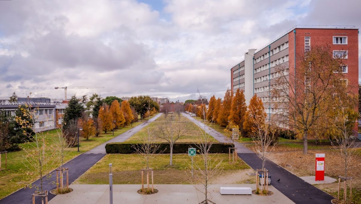 CHƯƠNG TRÌNH TRAO ĐỔI SINH VIÊN TẠI INSA TOULOUSE (PHÁP)